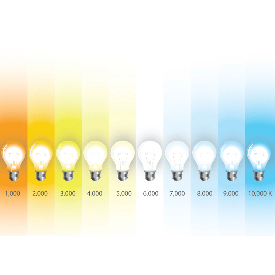 What is Full Spectrum Lighting? | BON CHARGE – Bon Charge